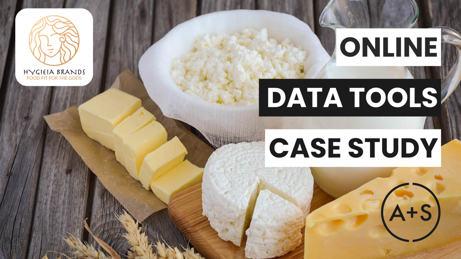 Hygieia Brands and Data Analysis Tools Case Study | Showit Blog