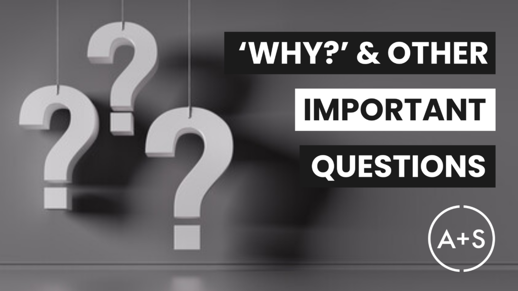 “Why?” And Other Important Questions | Showit Blog